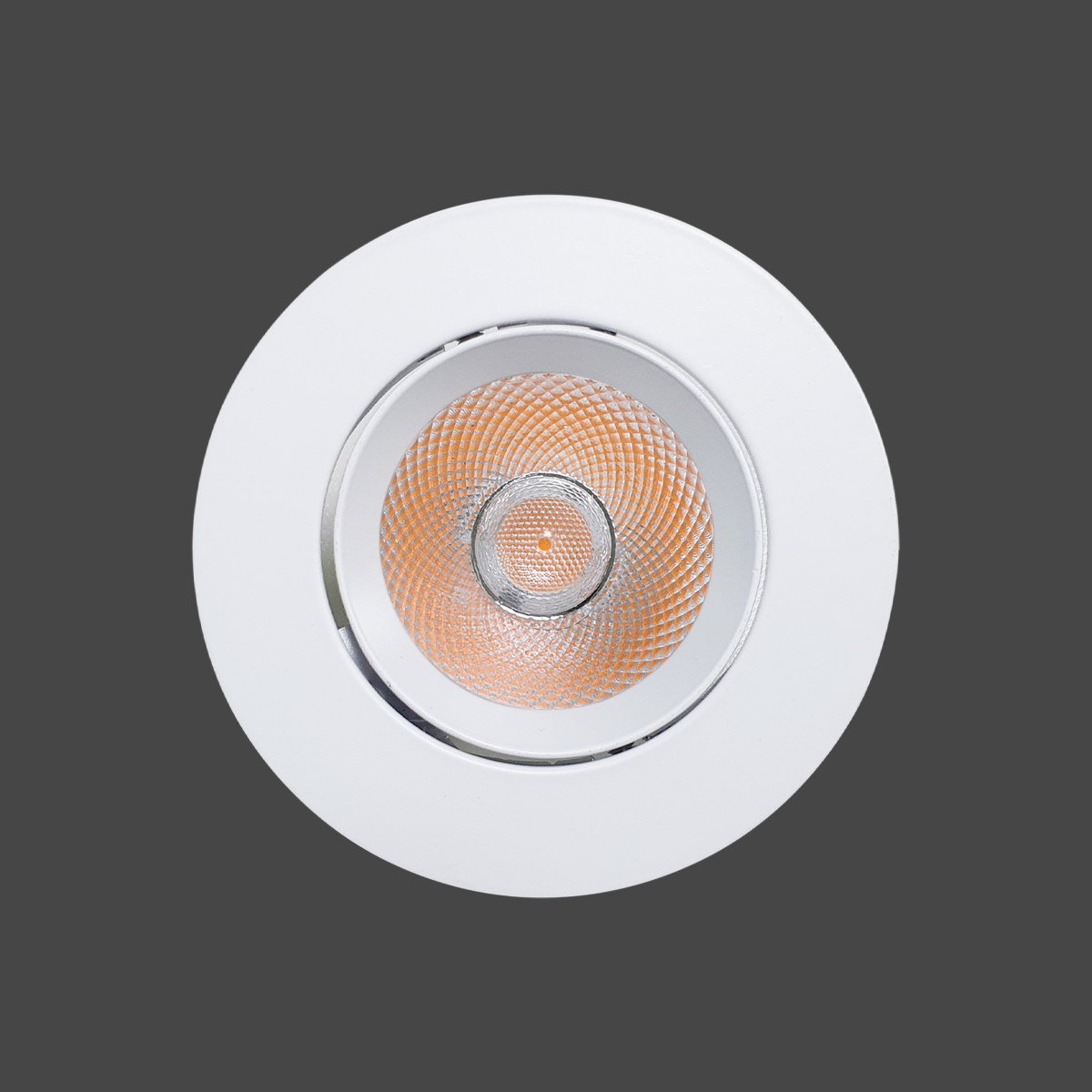 (주) 황제라이팅 | EL - 9176